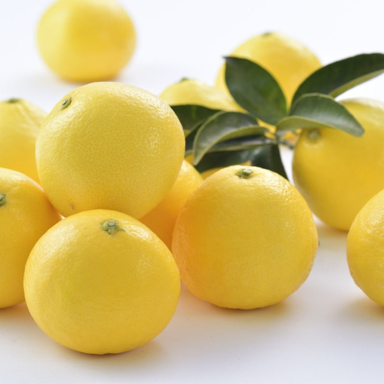 Hyuganatsu Citrus 日向夏 – FarmFresh Japan